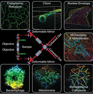 The next generation 4Pi microscope is here. And it has adaptive optics ...